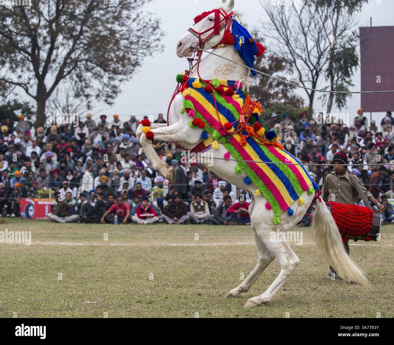 Feb. 3, 2013 - Punjab, India - Dancing Horse at the Games.The Rural ...
