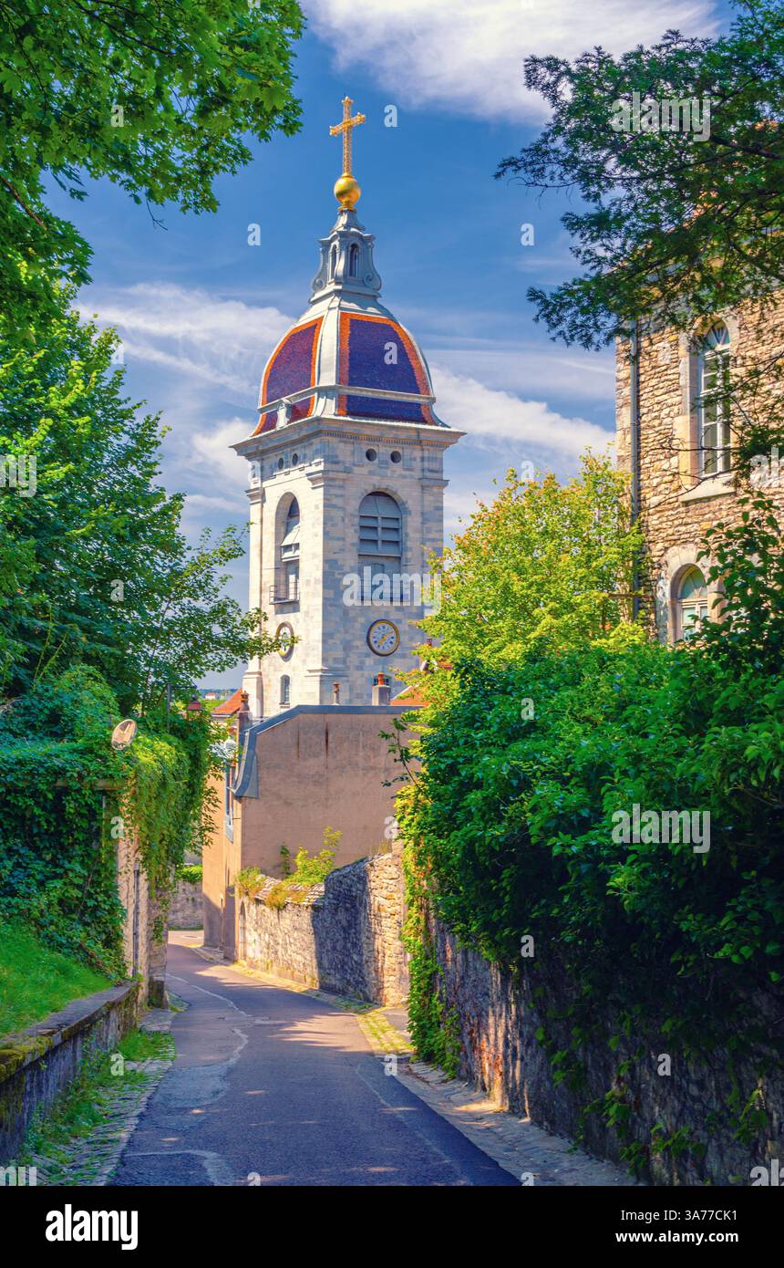 Narrow road with stone fence and green plants and La Cathedrale Saint ...