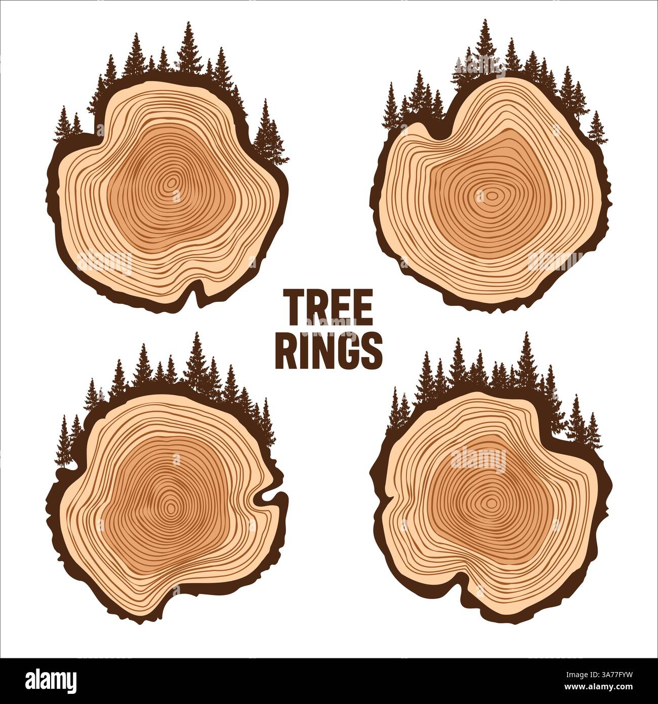 Round tree trunk cuts with trees and forest. Sawn pine or oak slices ...