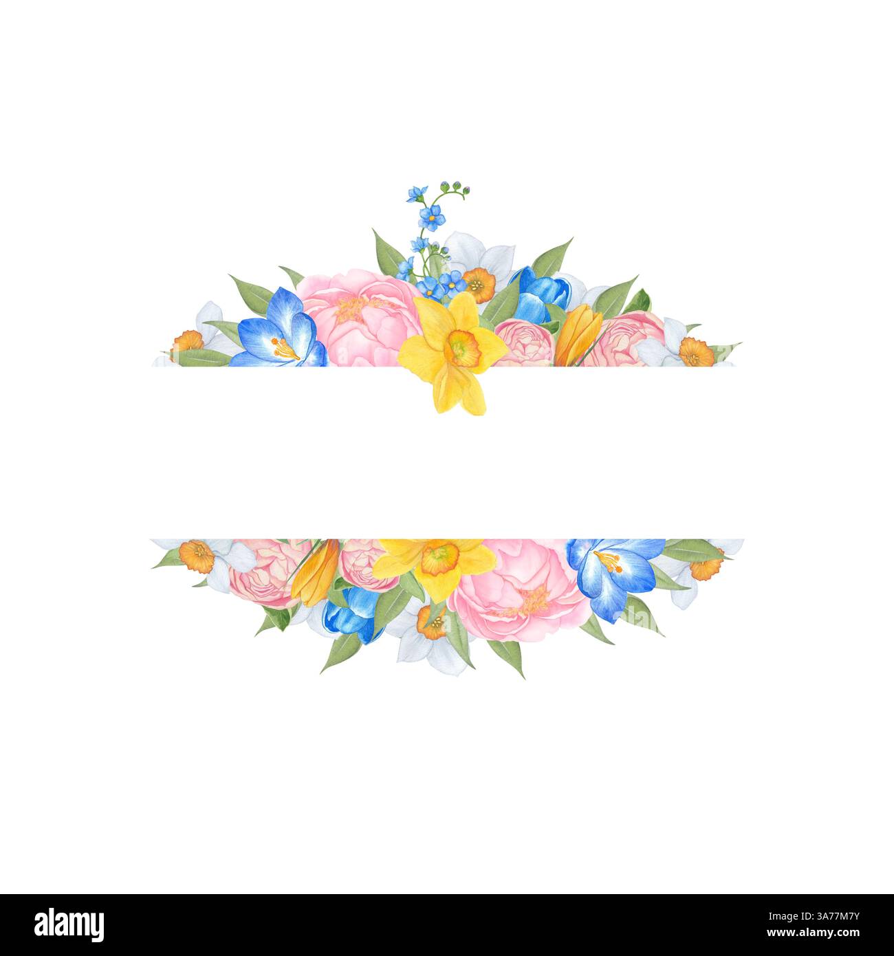 Hand-painted watercolor floral divider featuring peonies, daffodils ...