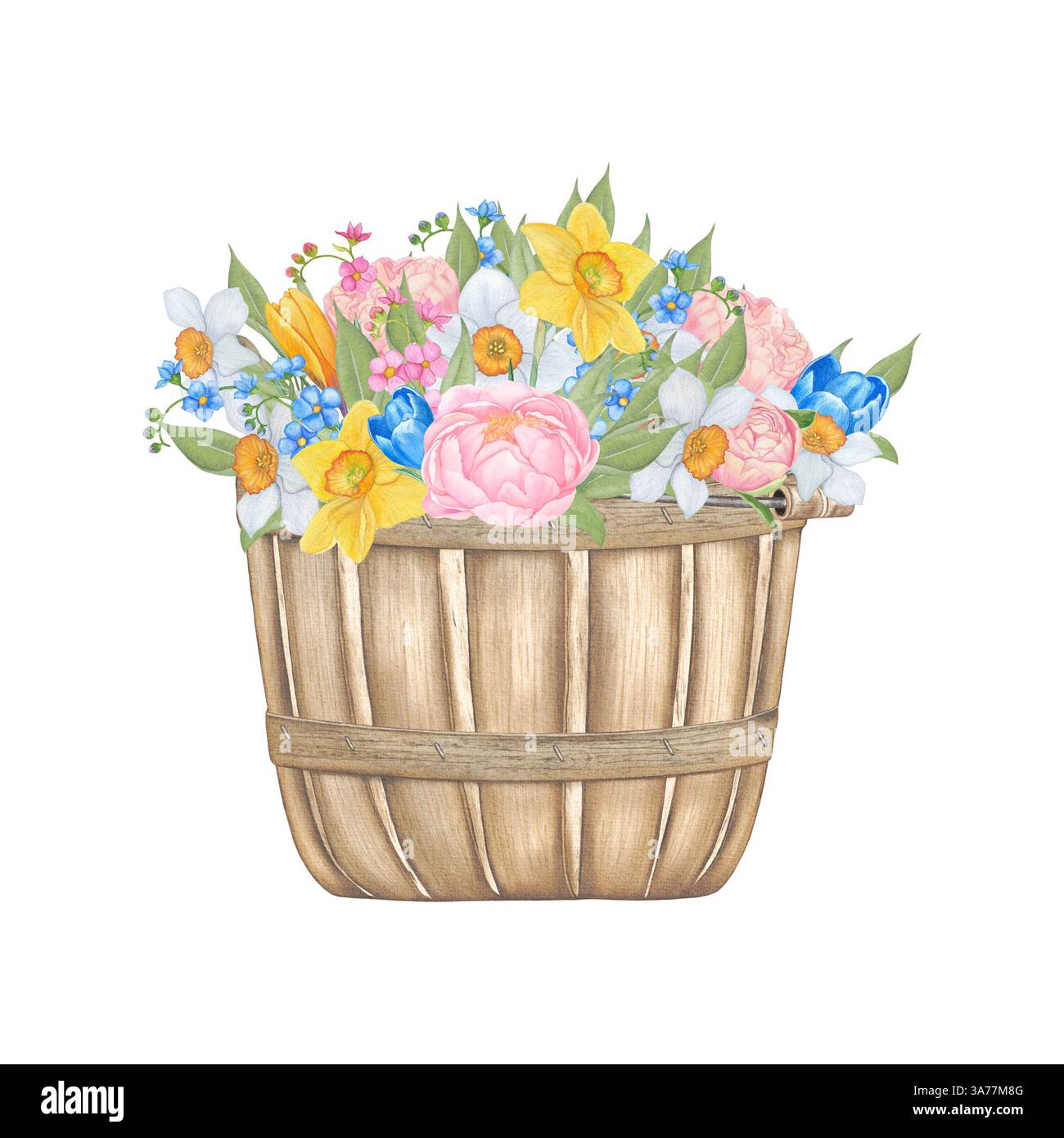 Watercolor illustration featuring a rustic wooden basket overflowing ...