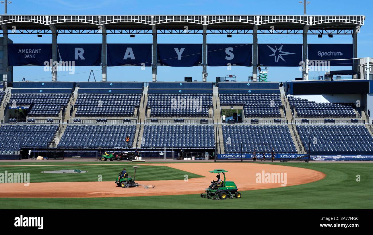 Tampa Bay Rays grounds crew members prepare the field at George M ...