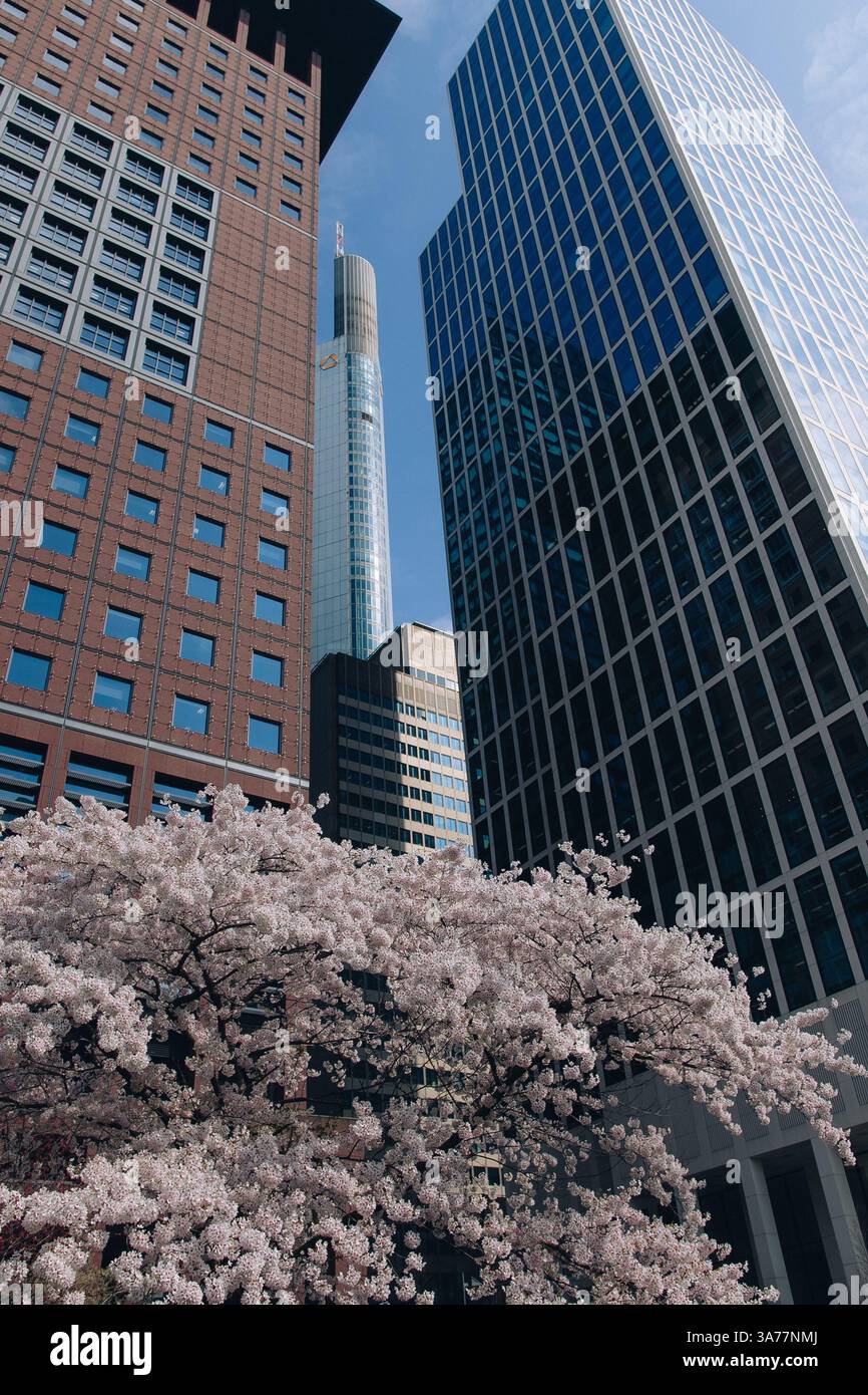 RANKFURT-AM-MAIN, GERMANY - MARCH - April 2025. Skyscrapers behind ...