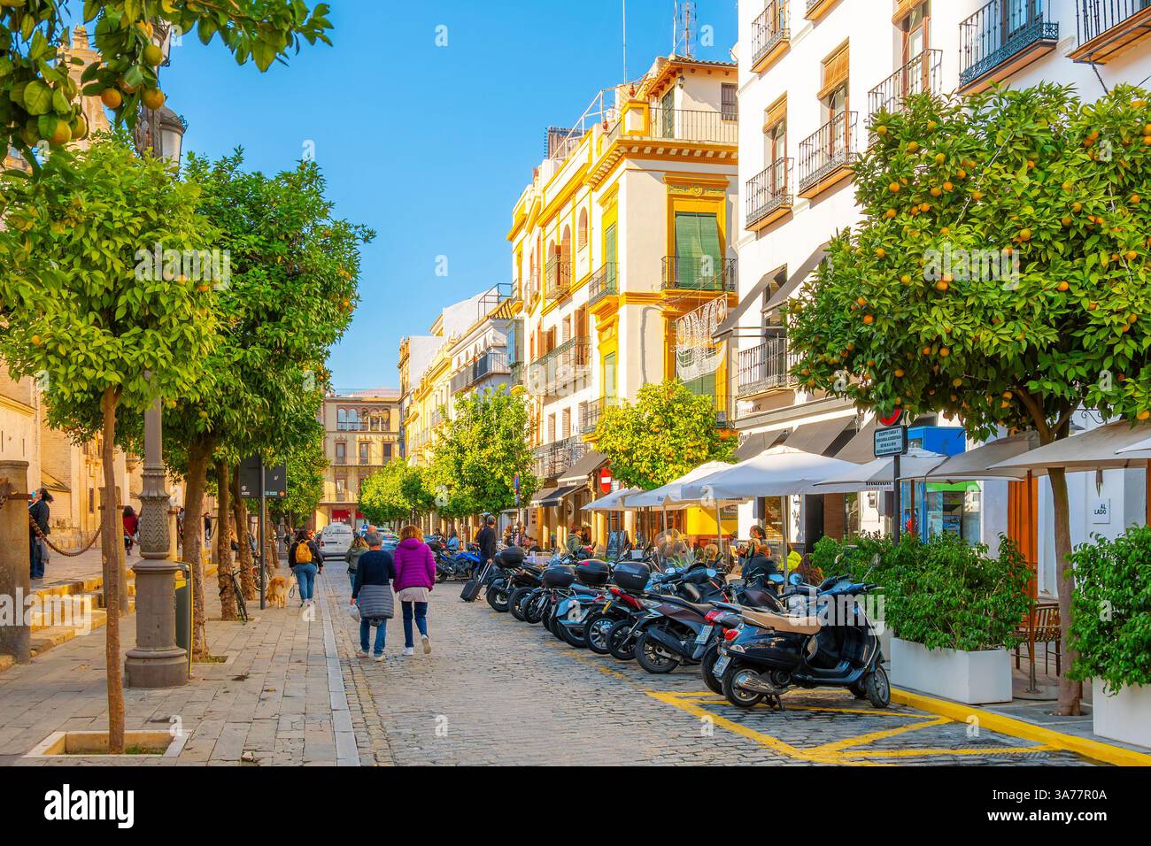 Colorful buildings with sidewalk cafes on a treelined cobblestone ...