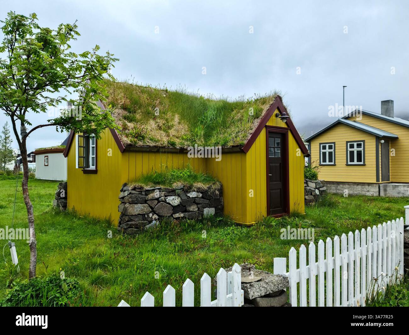 Iceland, Akureyri 22. June 2024, Traditional Icelandic house with grass ...