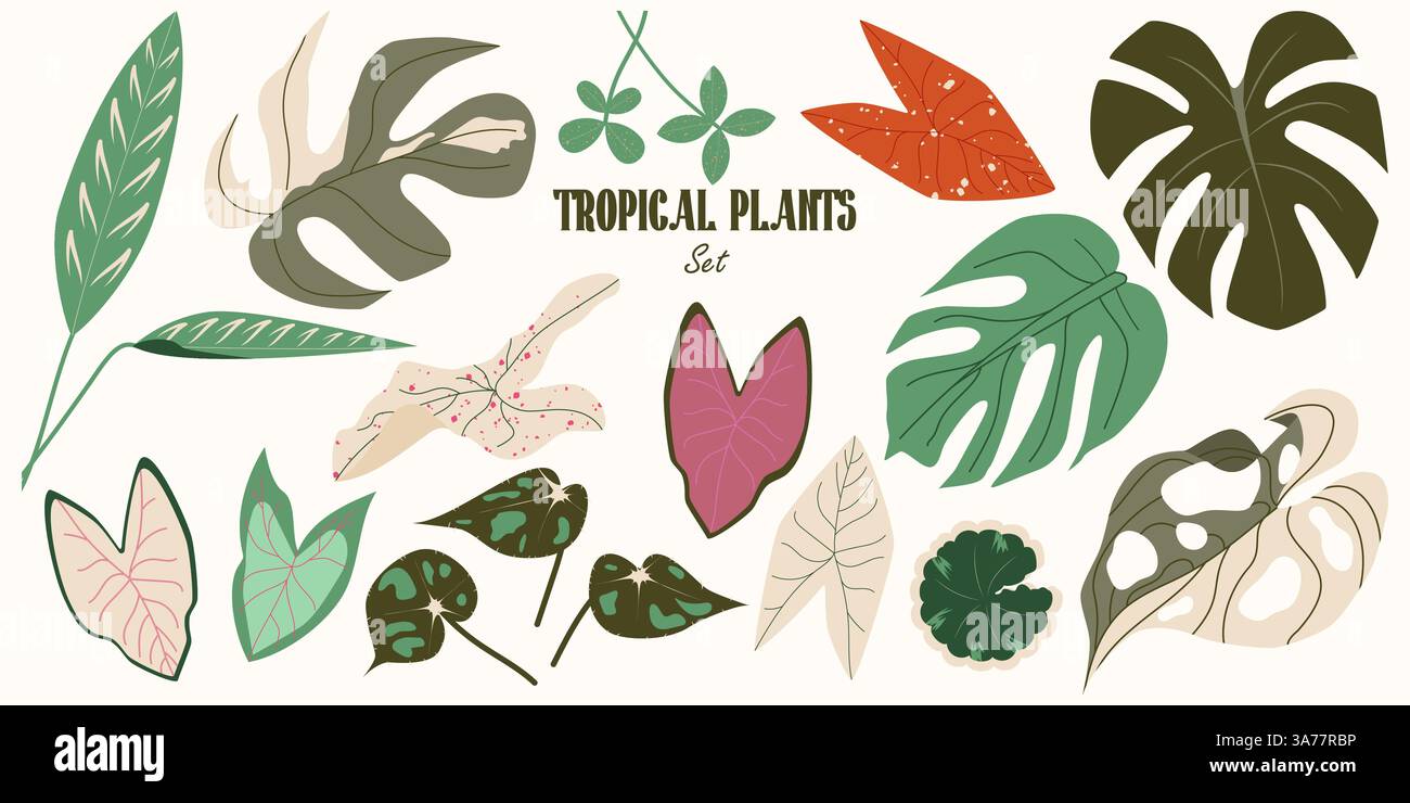 Collection of Tropical Foliage in a modern botanical flat style. Exotic ...