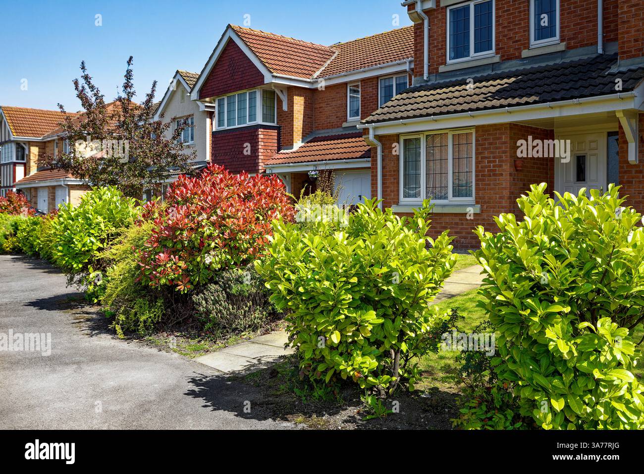 Modern suburban houses spring hi-res stock photography and images - Alamy