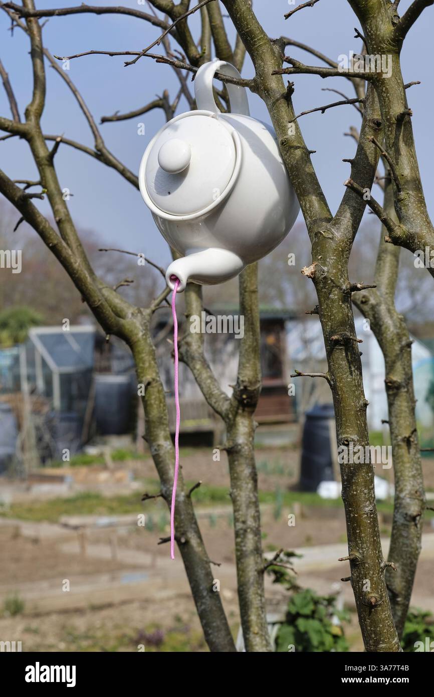 A teapot hanging from a tree branch and being used as a novel twine ...