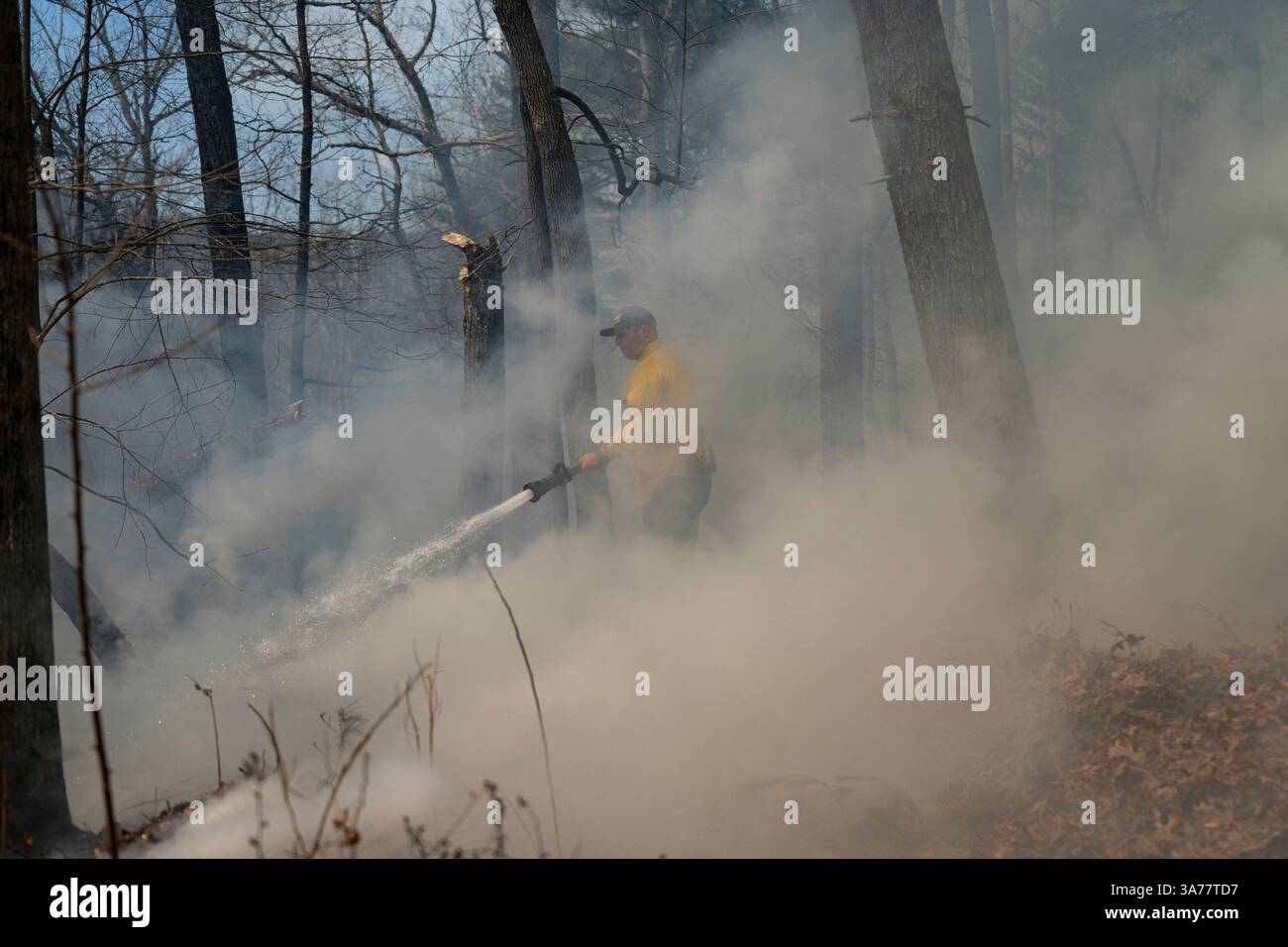 A firefighter works to control a protective backburn fire as the Black ...
