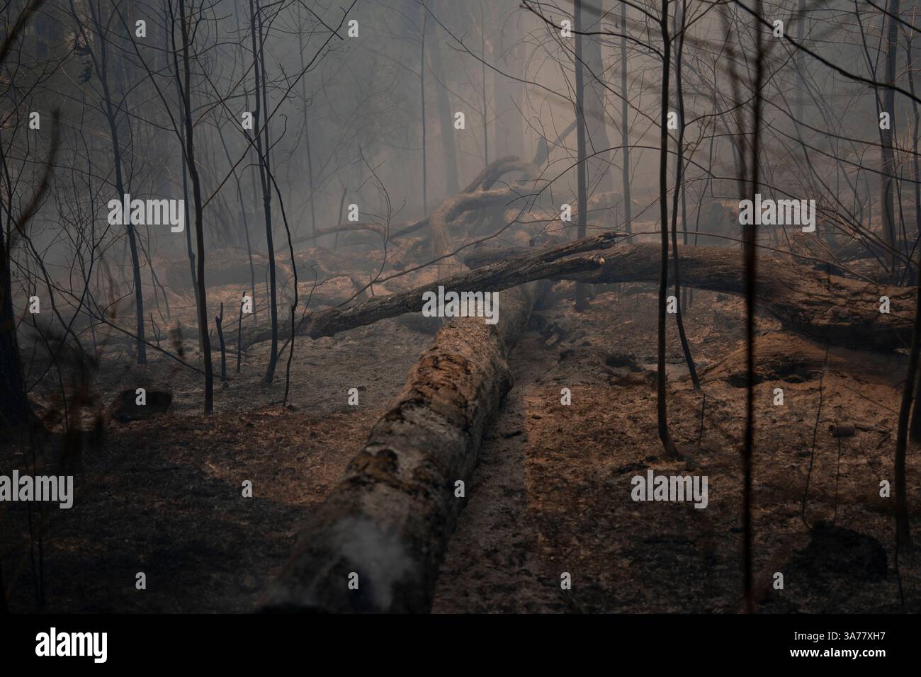 Smoldering remnants of the Black Cove Fire are seen outside a home ...