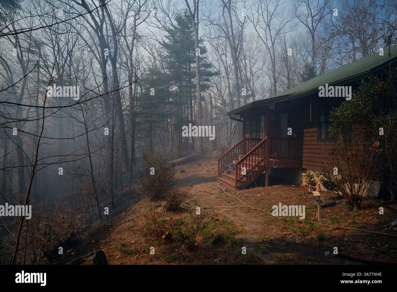 A home is surrounded by smoldering remnants of the Black Cove Fire ...