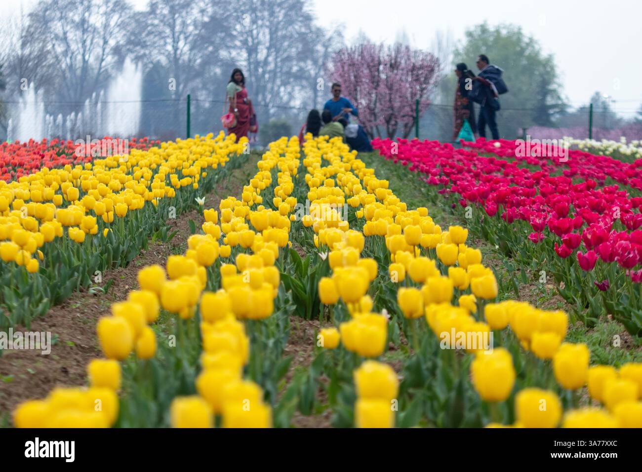 March 27, 2025, Srinagar, Jammu And Kashmir, India: General view of ...