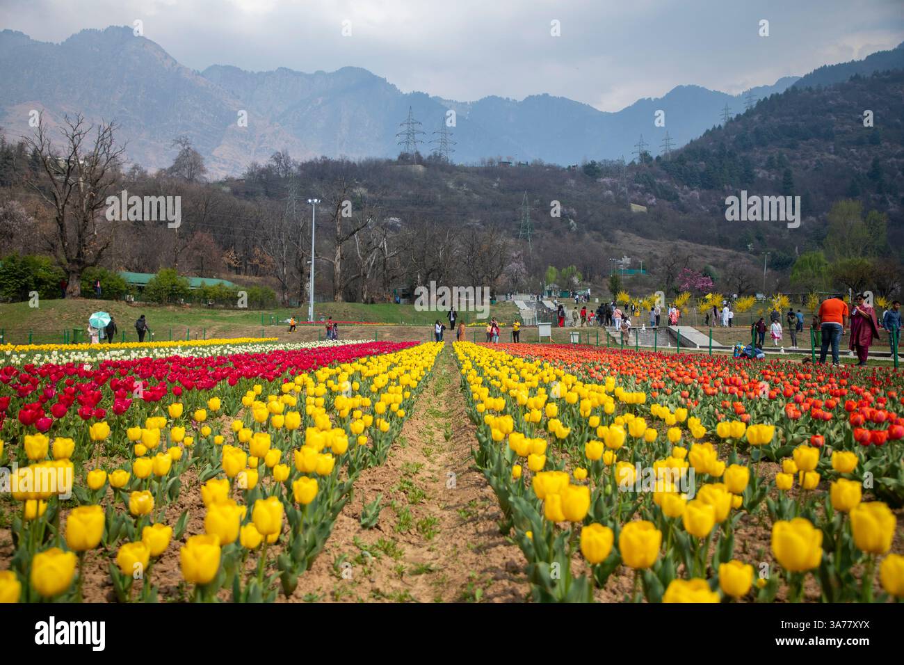 March 27, 2025, Srinagar, Jammu And Kashmir, India: General view of ...