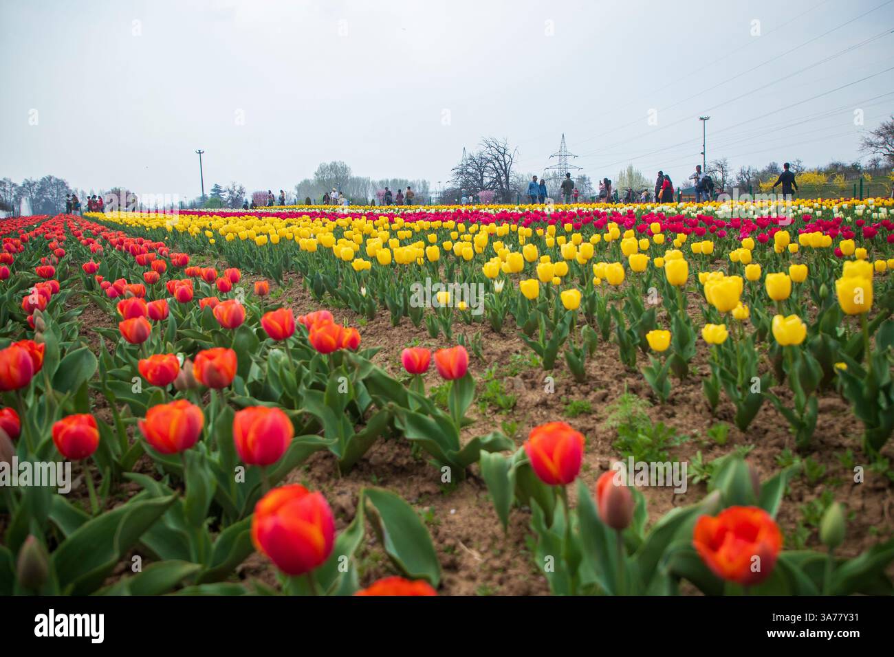 March 27, 2025, Srinagar, Jammu And Kashmir, India: General view of ...
