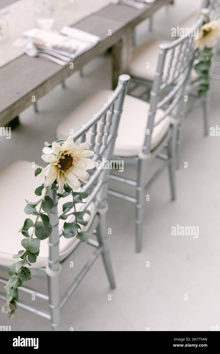 Beautifully decorated chairs featuring sunflowers and greenery set the ...