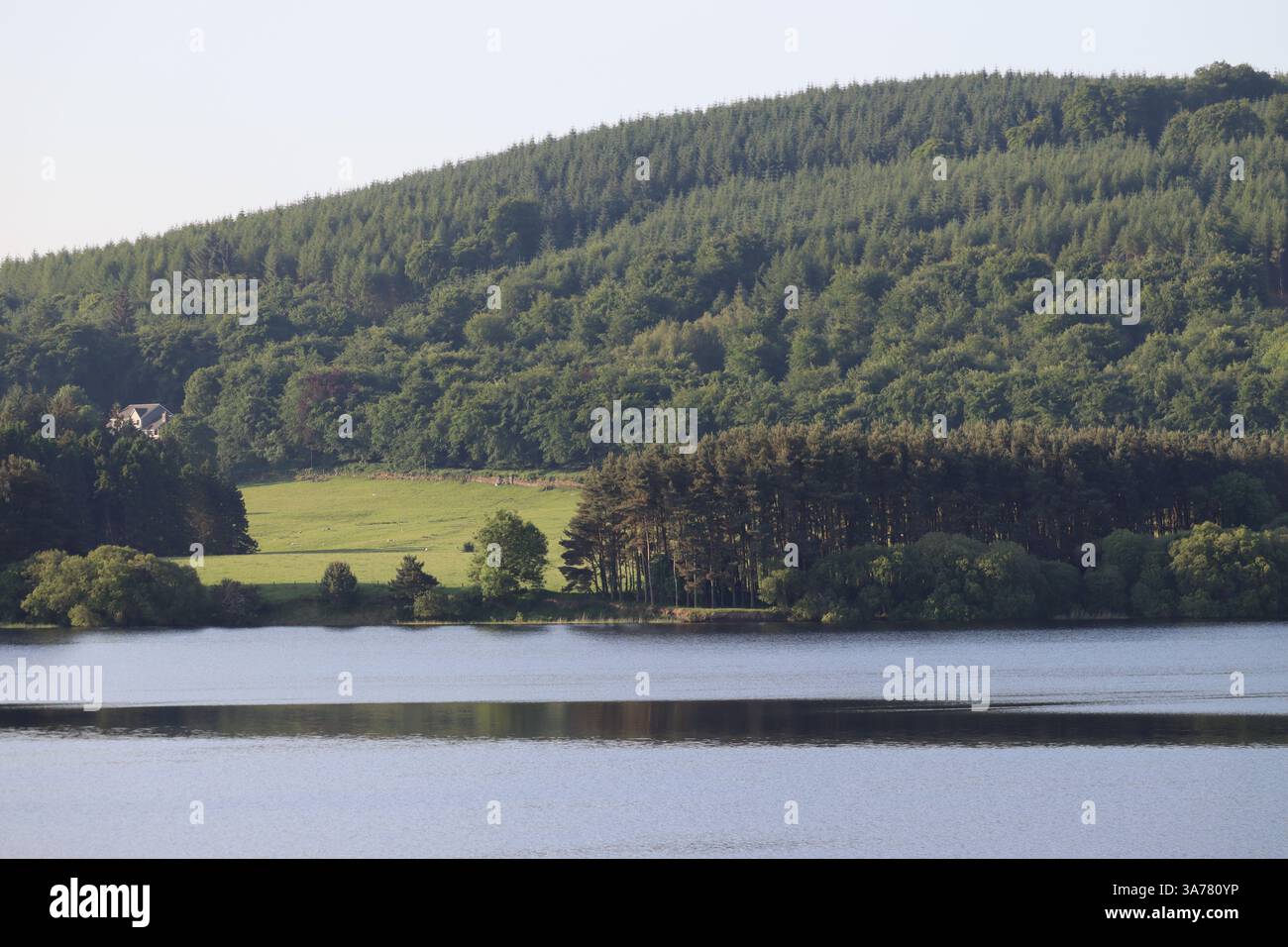 Blessington Lake, also known as Blessington Reservoir, is a large ...