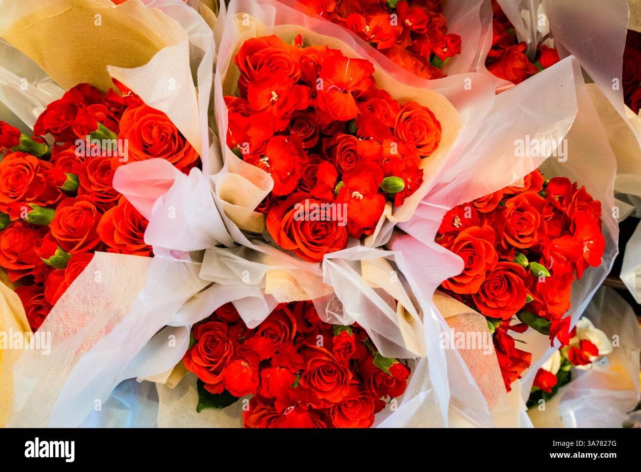Bouquets of flowers wrapped in paper, red roses,petals unfurling, a ...