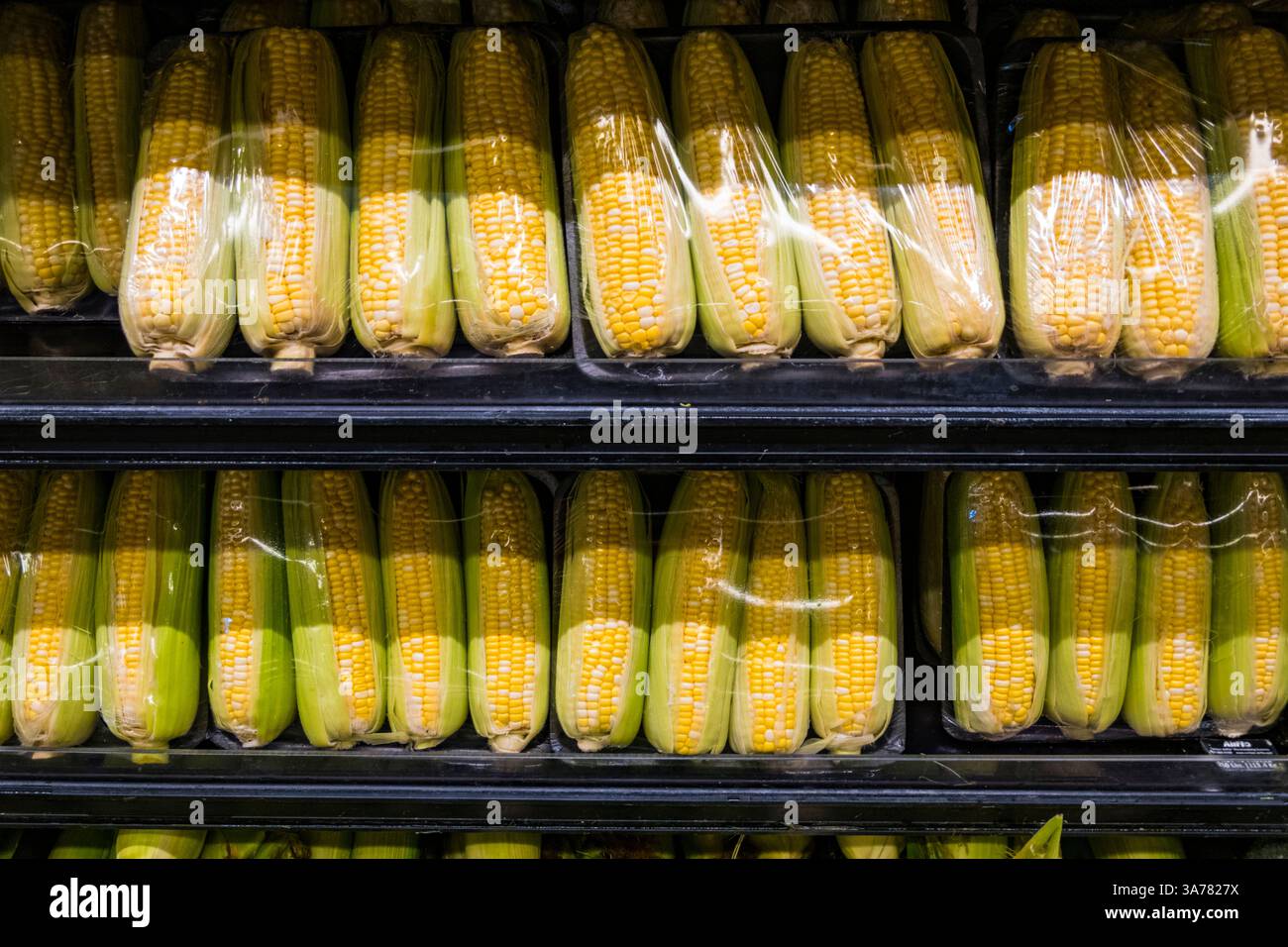 Yellow sweetcorn husks packaged in plastic on a supermarket shelf Stock ...