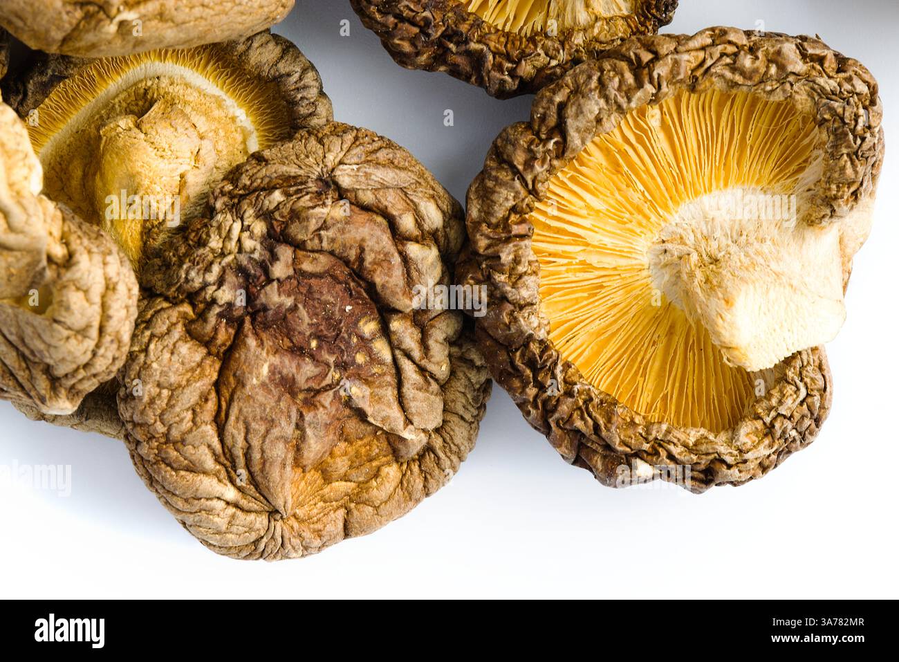 This image showcases dried shiitake mushrooms artfully arranged on a ...