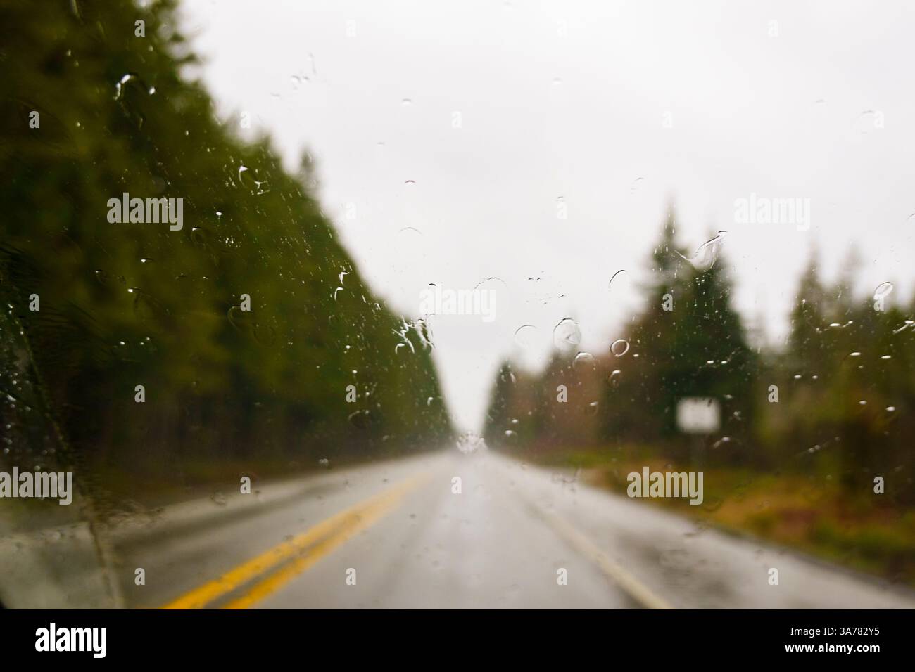 Driver's view through windshield of wet highway in rural area, WA, USA ...