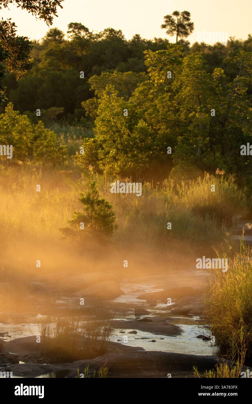The Sand River, mist, morning light Stock Photo - Alamy