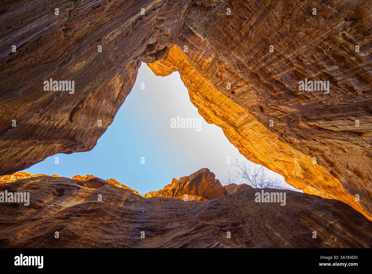 road through the Siq Gorge, canyon, the symbol of the city of Petra, at ...