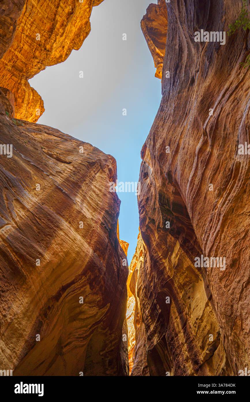 road through the Siq Gorge, canyon, the symbol of the city of Petra, at ...
