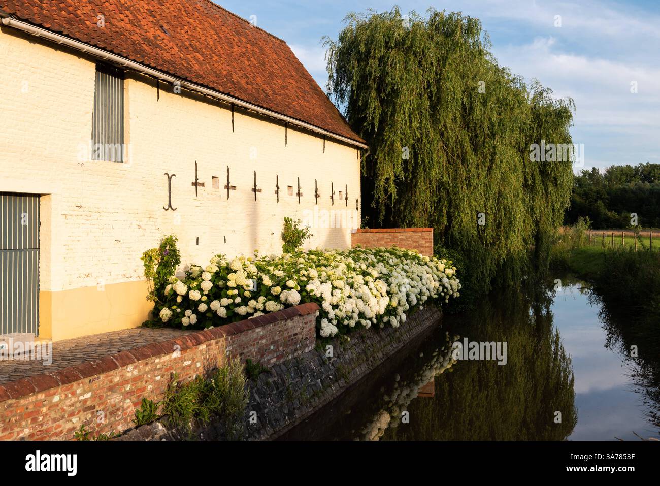 Zwalm, East Flanders Region - Belgium - 07 14 2021 Water mill and tree ...