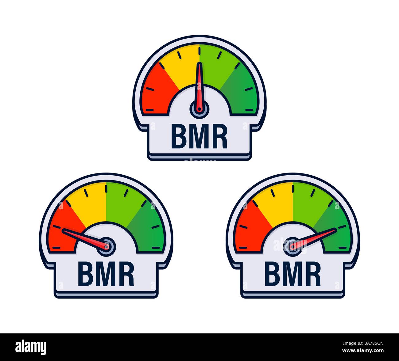 Basal Metabolic Rate BMR Assessment Gauges Vector Illustration with ...