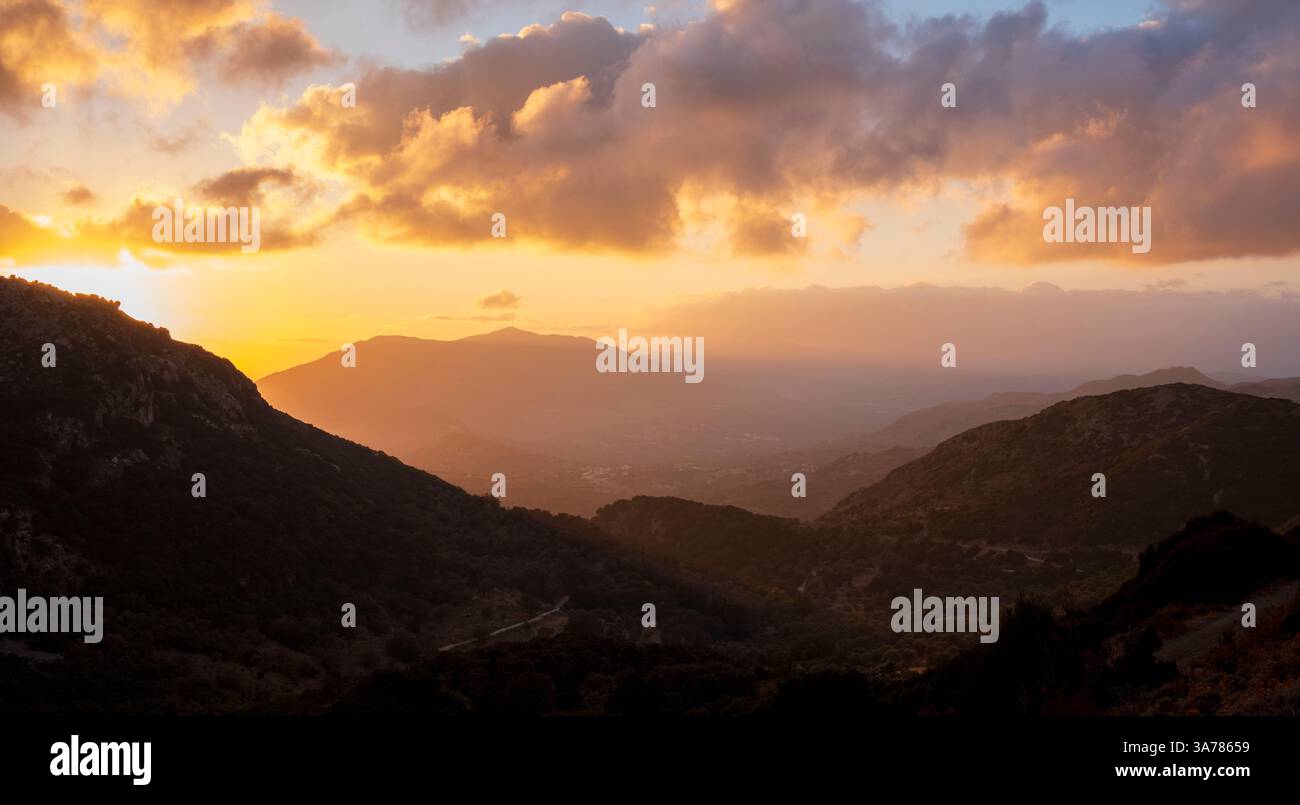 Here are a few caption options for the image, focusing on different ...