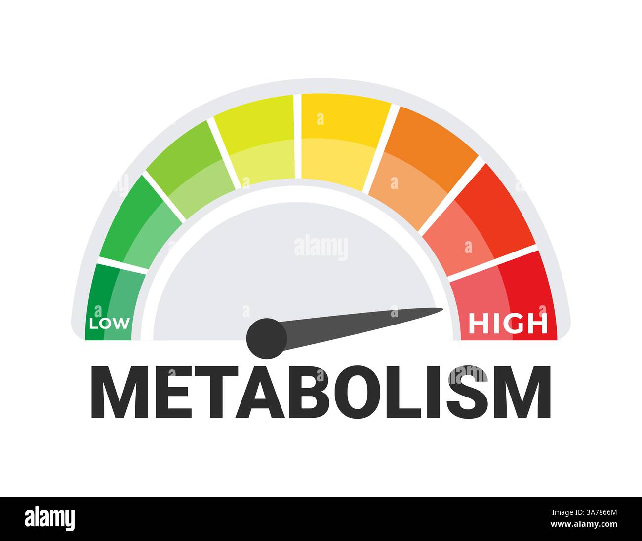 Metabolic Rate Measurement Concept with a Vivid Metabolism Meter ...
