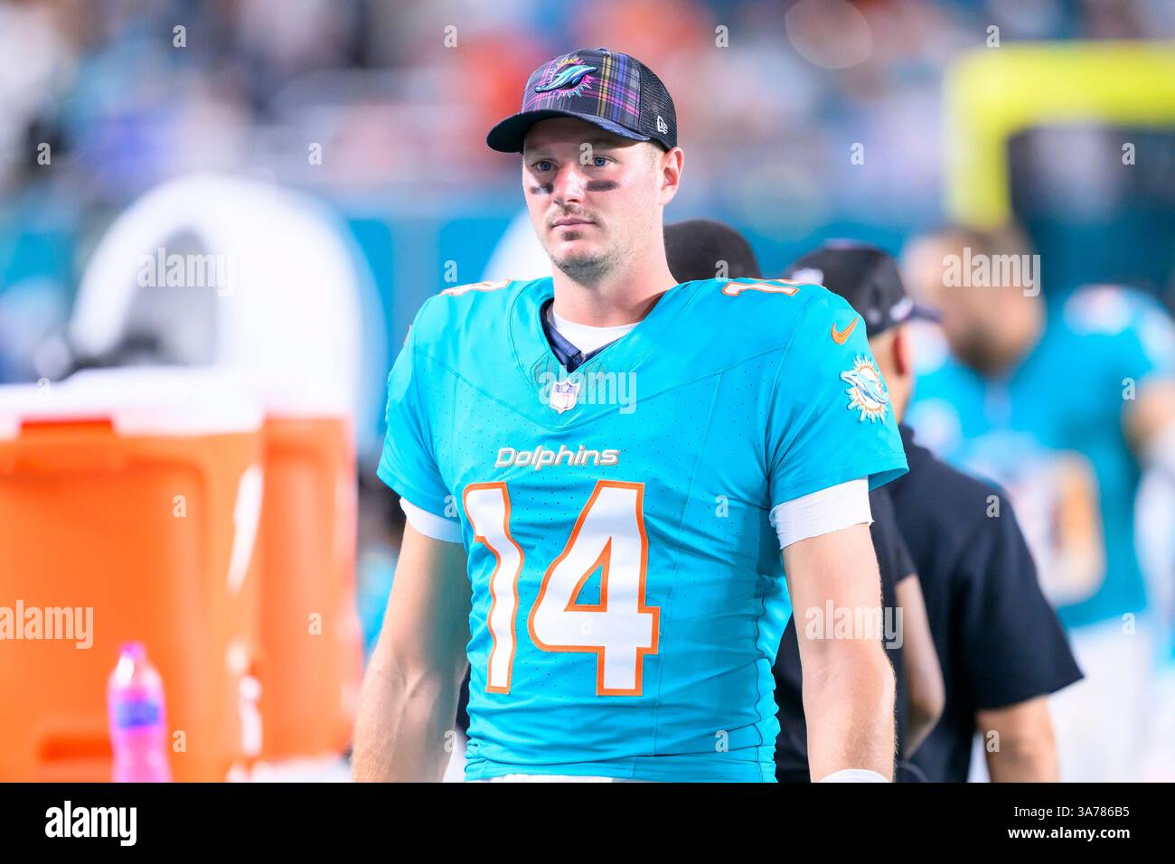 FILE - Miami Dolphins quarterback Tim Boyle (14) stands on the ...