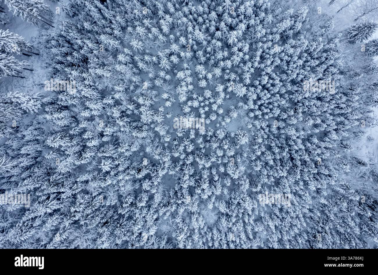 Frozen forest drone point hi-res stock photography and images - Alamy