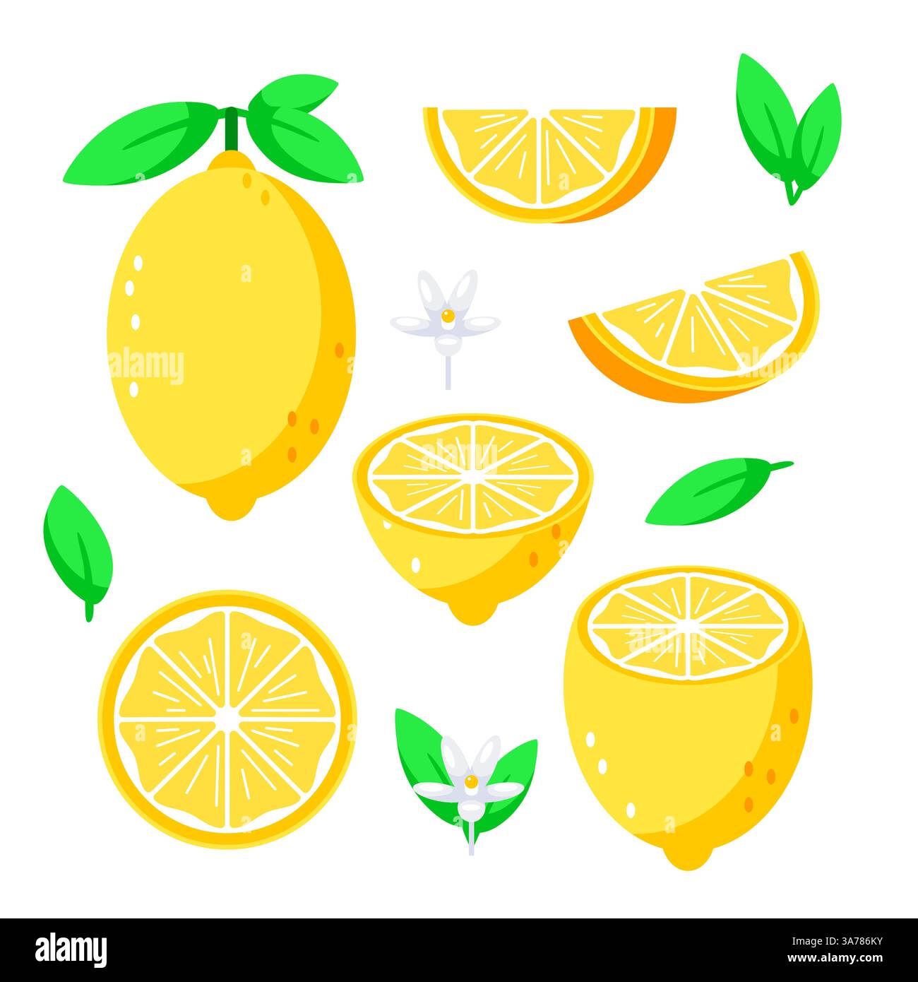 Fresh Lemon Collection Whole, Sliced, and Halved Lemons with Leaves and ...