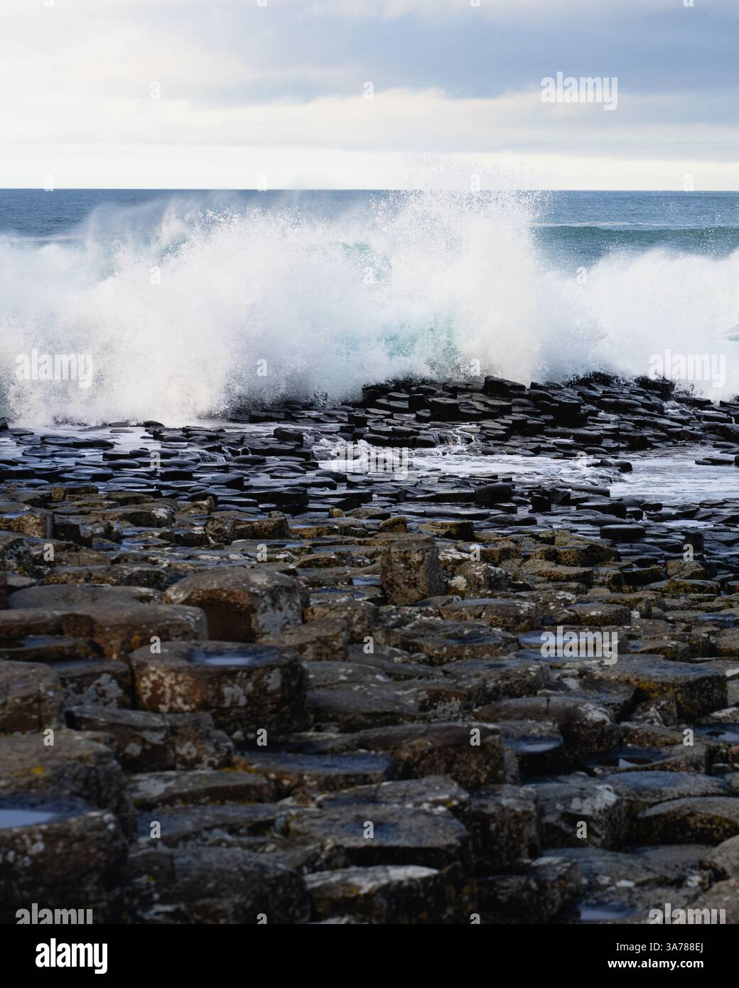 The striking basalt formations of the Giant's Causeway meeting the wild ...