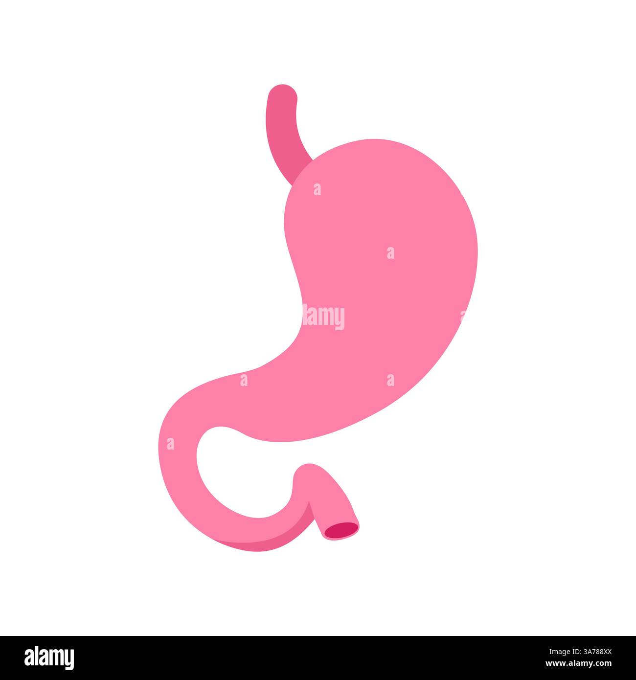 Set of stylized stomach icons in shades of pink, depicting various ...