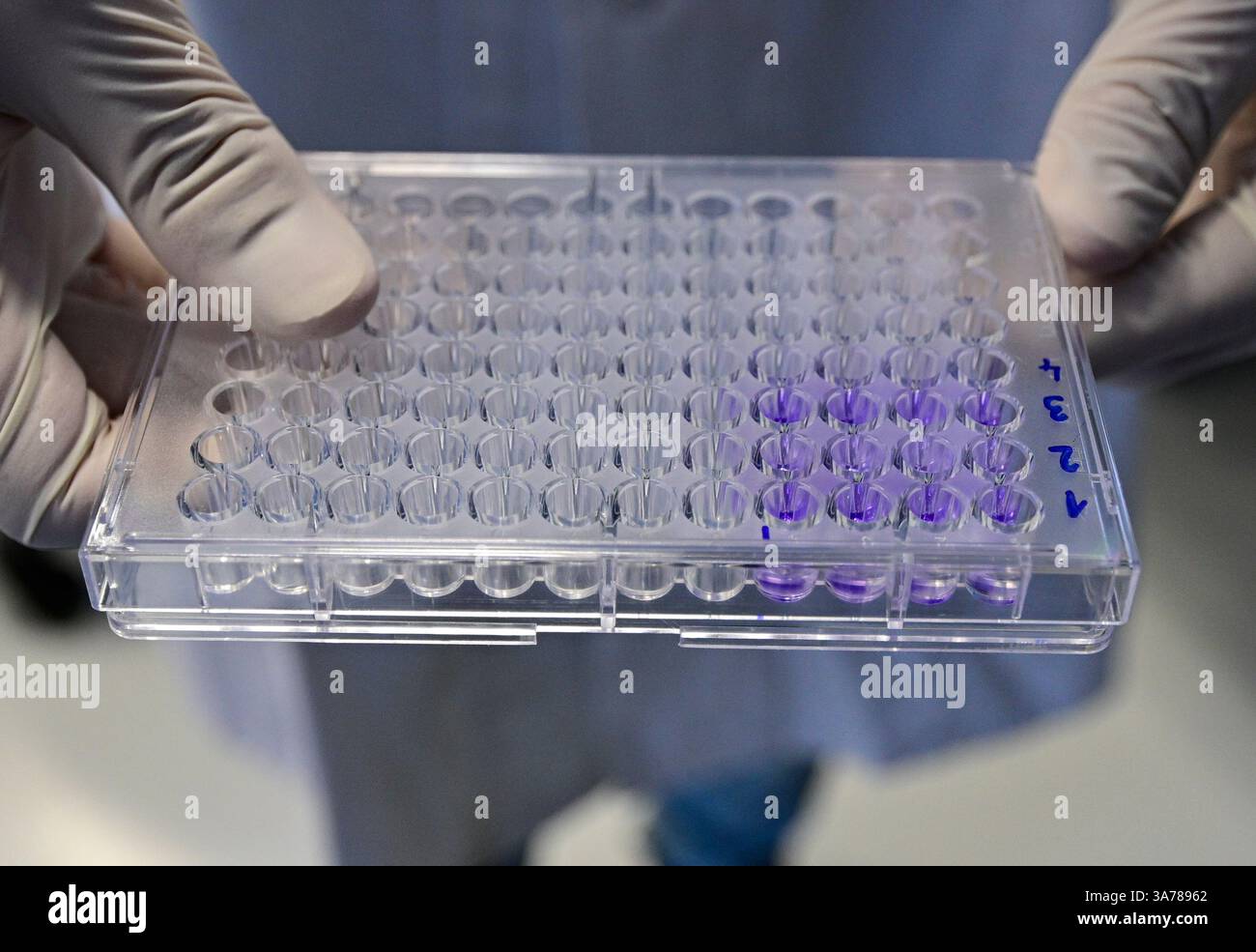 Presentation of the LasApp project at the BIOCEV Centre, Vestec ...