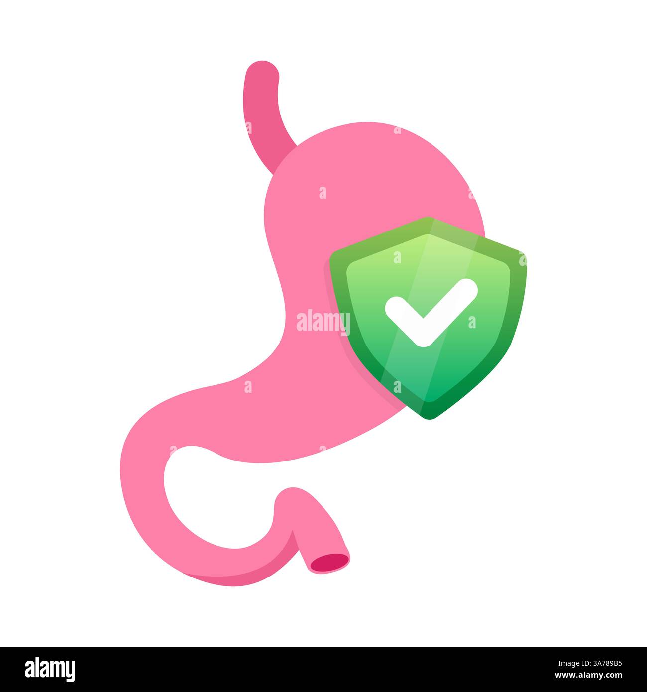 Set of stylized stomach icons in shades of pink, depicting various ...