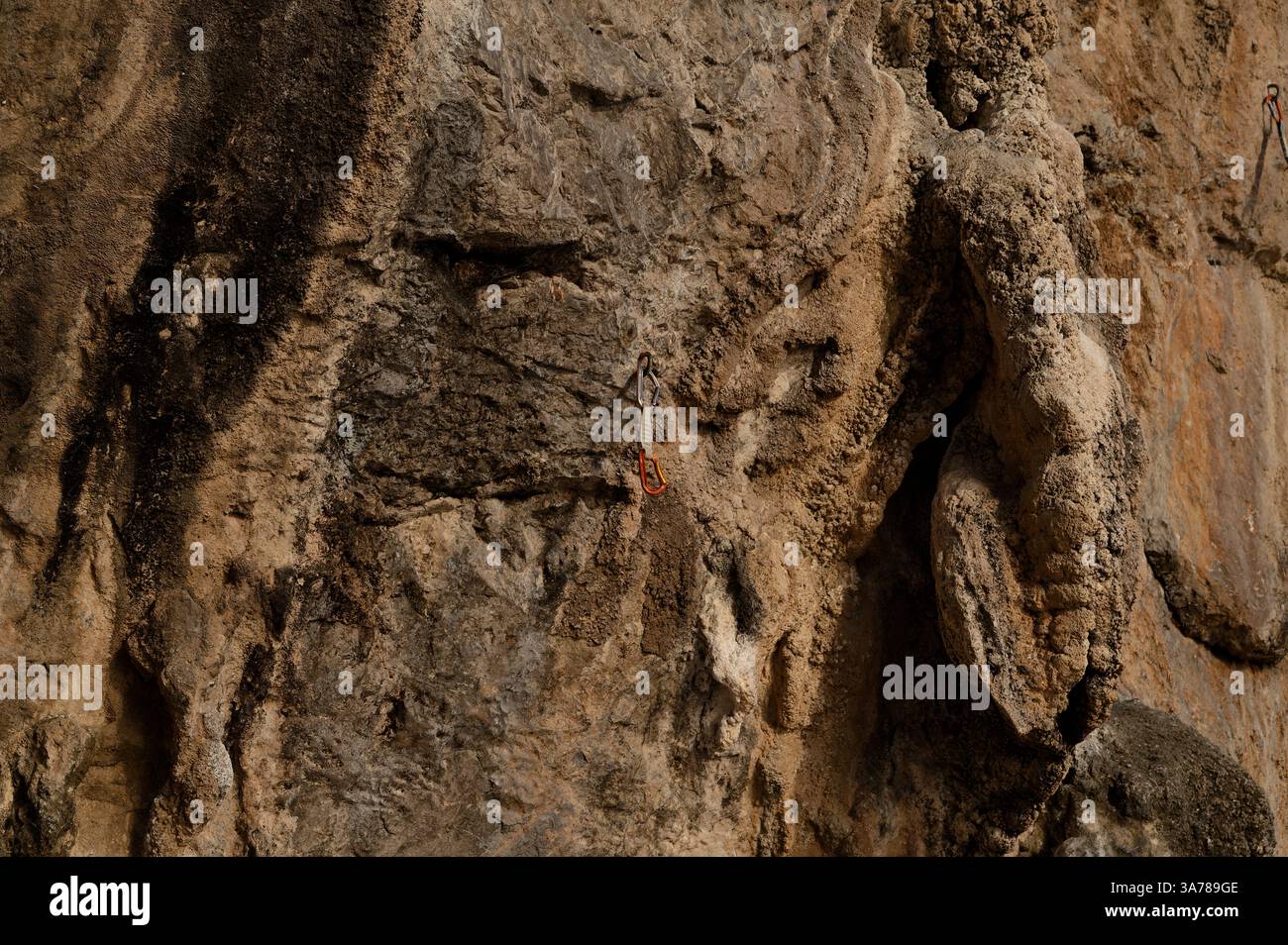 Setting up climbing anchor hi-res stock photography and images - Alamy