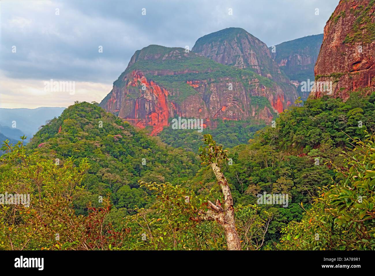 Highland Peaks in A Verdant Forest in Amboro National Park in Bolivia ...
