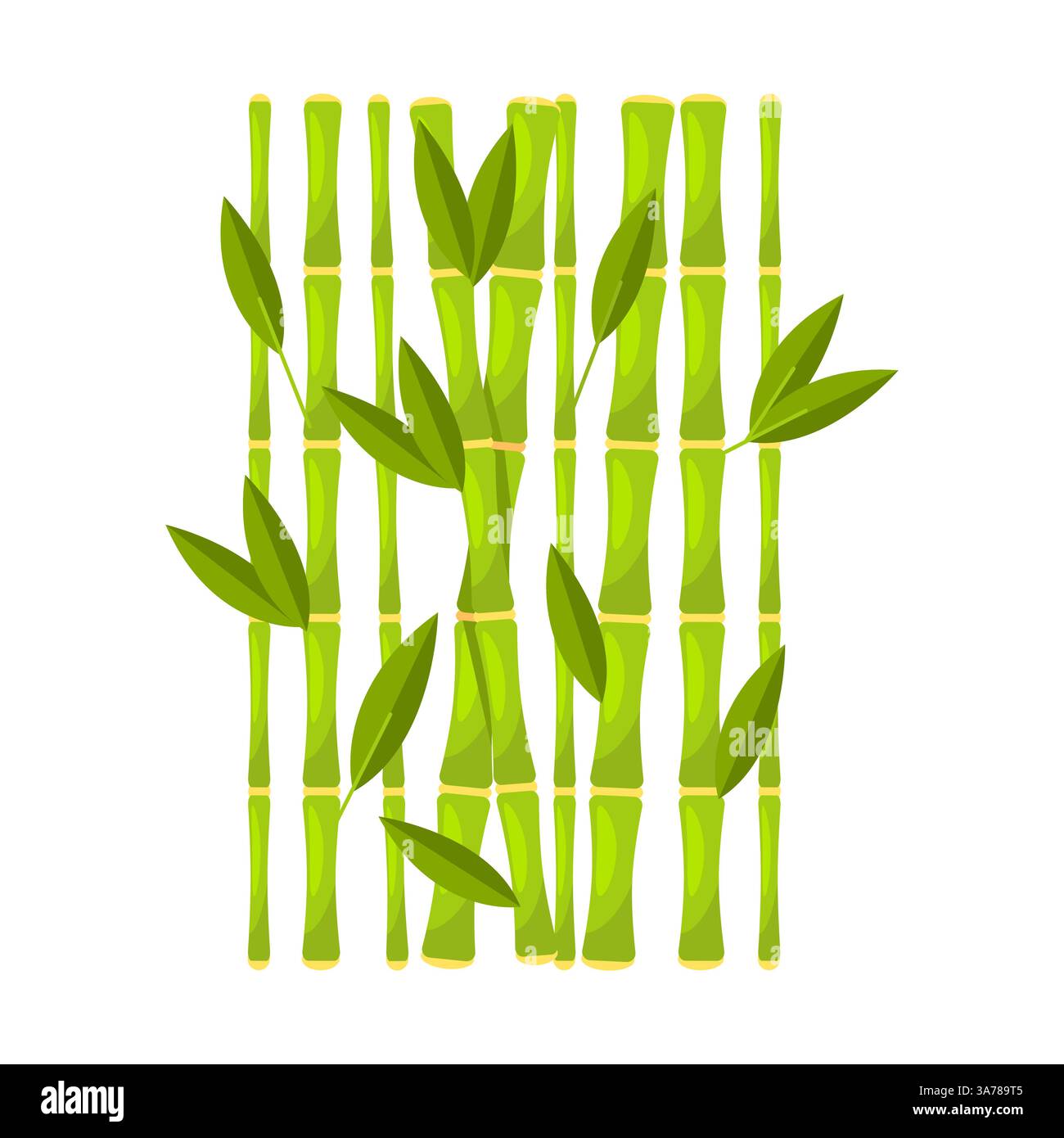 Green Bamboo with Leave. Vector illustration Stock Vector Image & Art ...