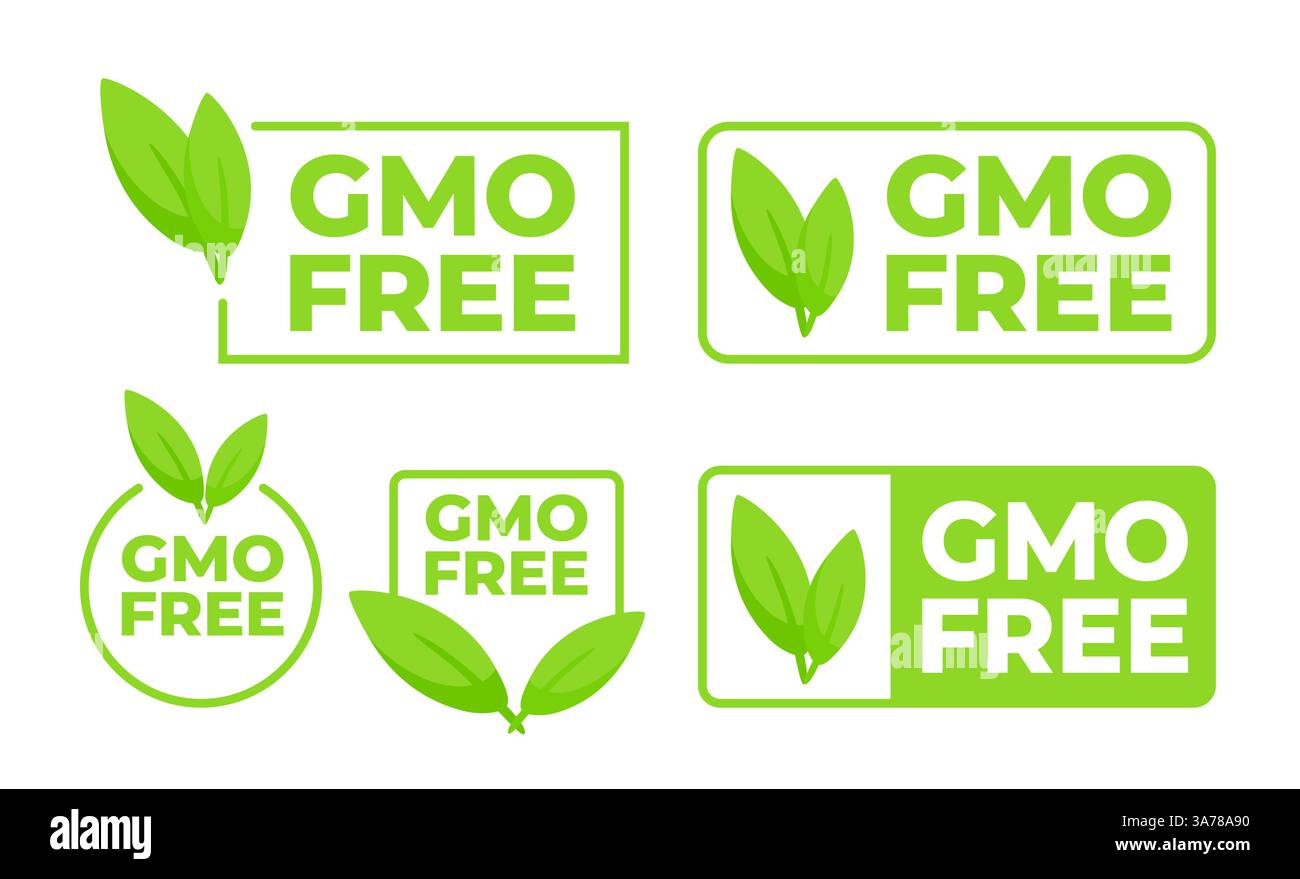 Set of green GMO Free labels and logos with leaf icons, promoting organic food and natural ...