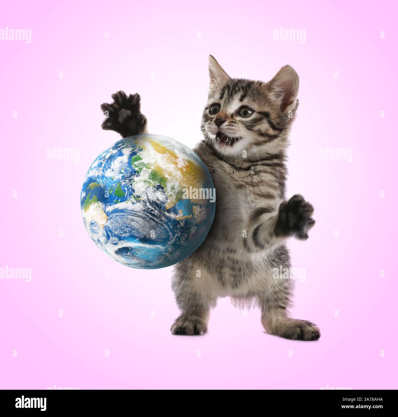 International cat day. Cute kitten playing with earth globe on light ...
