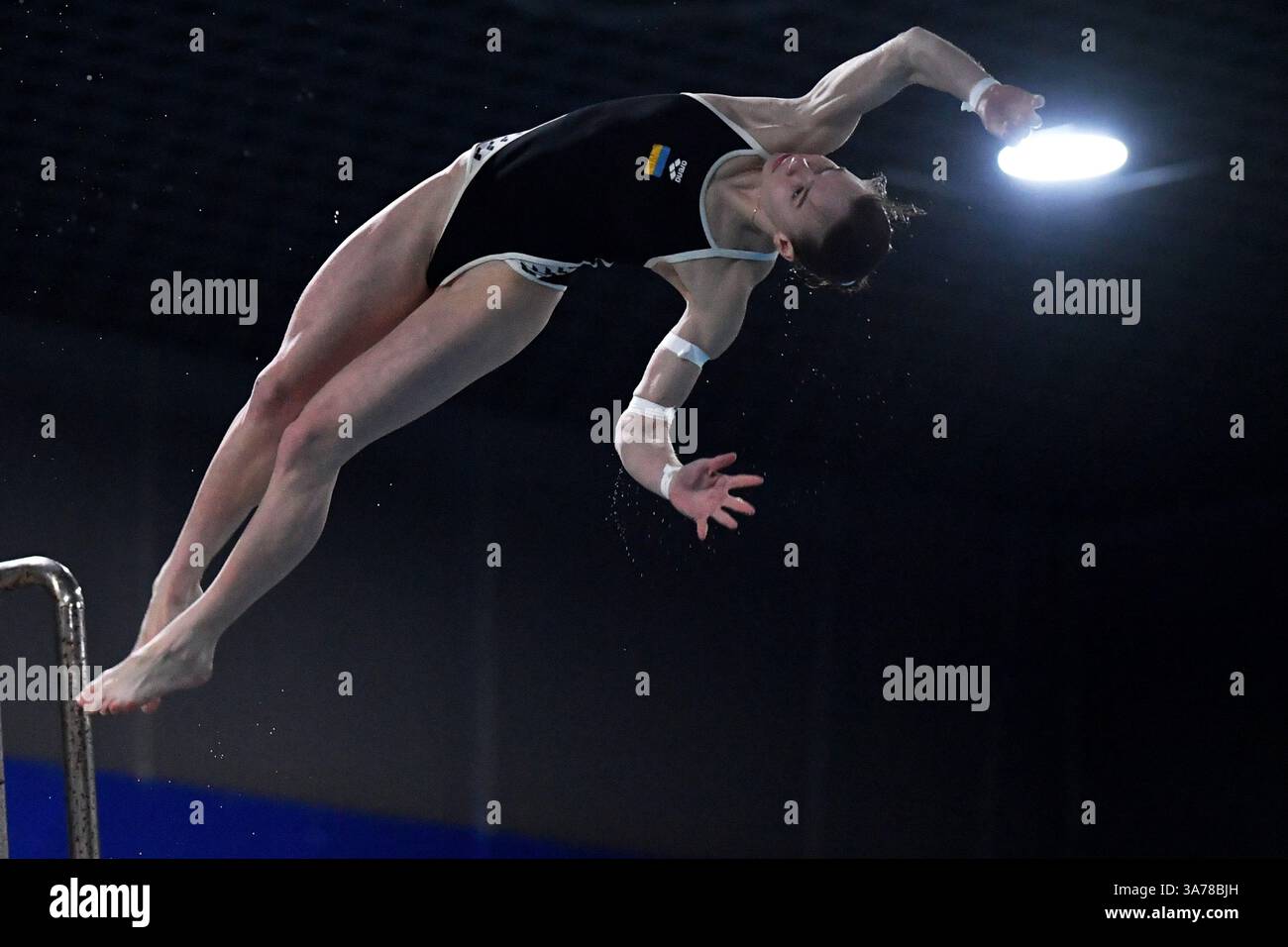 Kyiv, Ukraine. 25th Mar, 2025. Kyiv, Ukraine March 25, 2025 Lyskun ...