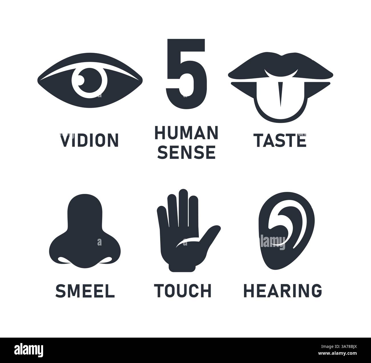 Set of five human senses. Vision, hearing, smell, taste and touch. Vector illustration Stock ...