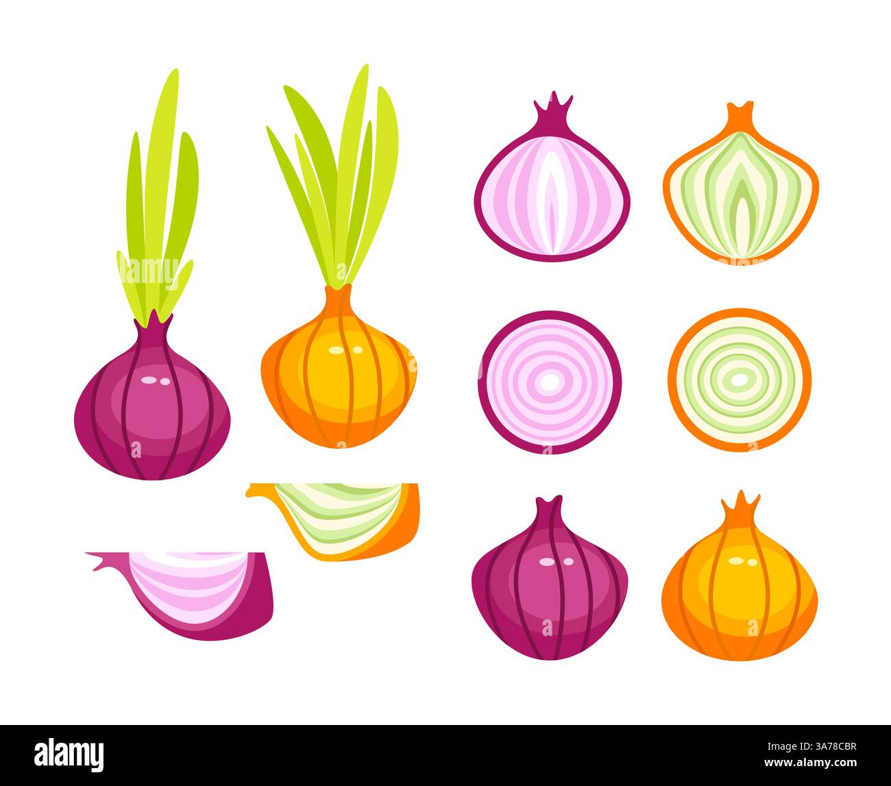Yellow red onions Stock Vector Images - Alamy