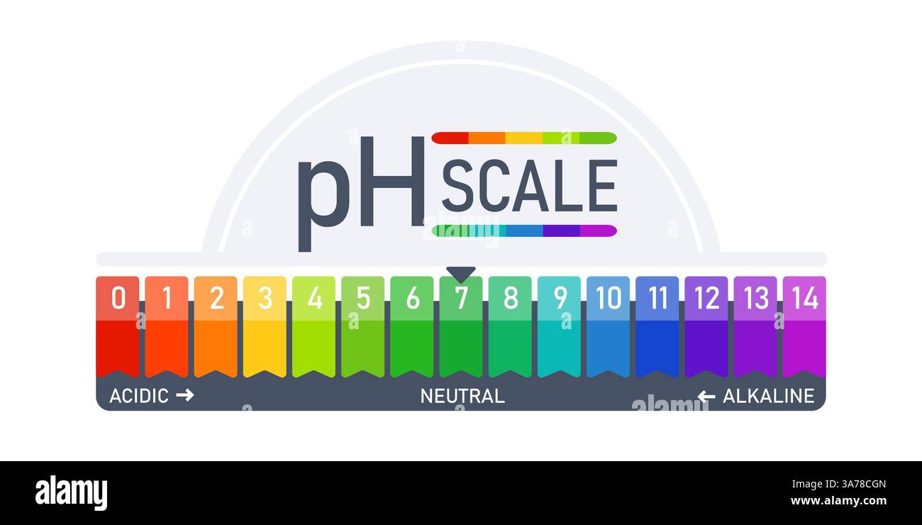 pH scale indicator chart diagram acidic alkaline measure. Acid-base ...