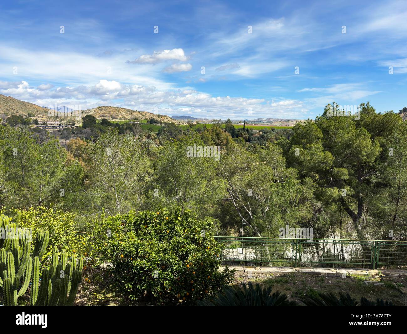 Discover the lemon groves of Ricote, Murcia's Moorish Valley, and its ...
