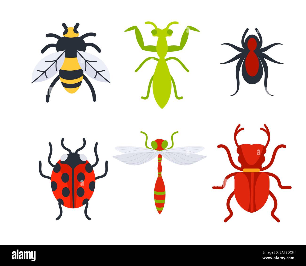 Insects set on white background. Ladybug and spider, mosquito Stock ...