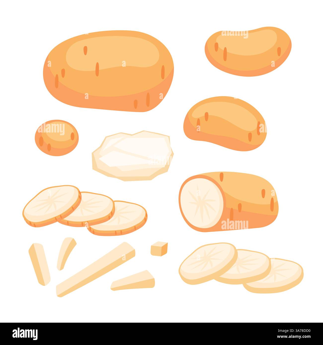 Potato set, raw sliced potatoes, french fries and chips. Whole root ...